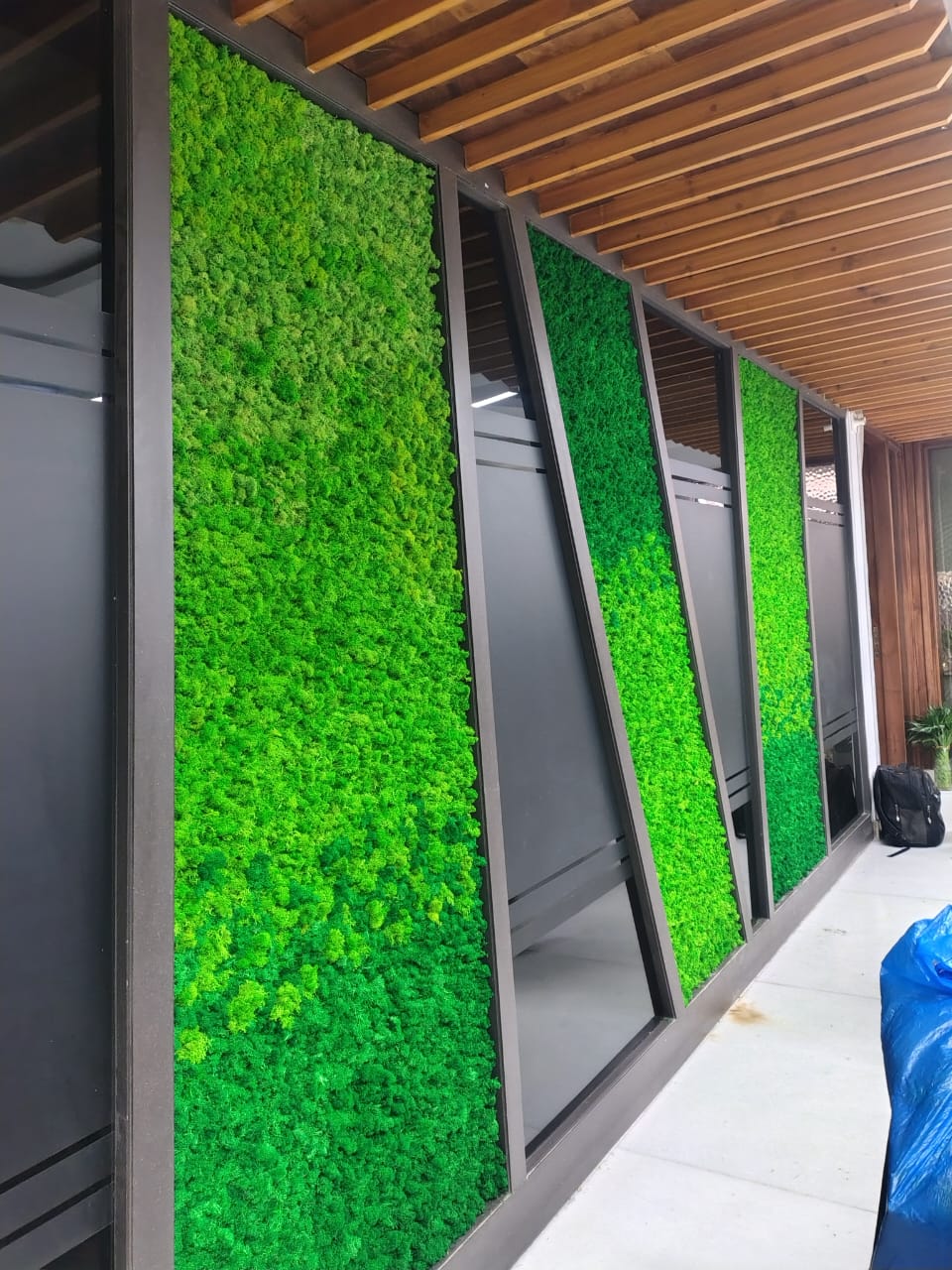 Axis - Axis | Evergreenry Case Study | Evergreenry